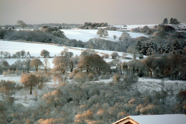 Wild and Wonderful: Seasonal Splash (3): Snow on Snow