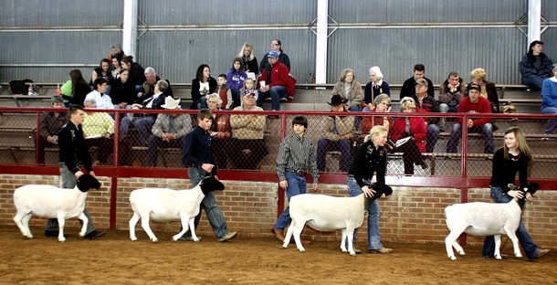 THE WESTERNER: New breed raises hopes of Texas sheep industry