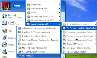 Expertise MS SQL Server & Oracle: How to Check Oracle Service Names?