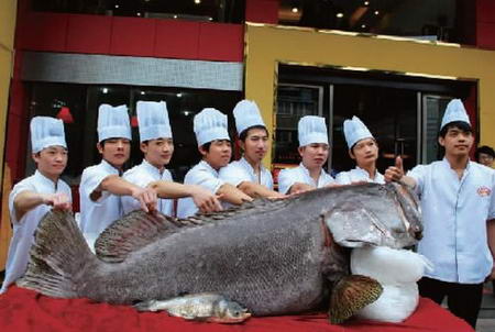 Le plus gros poisson de Chine | Un Blog voyage sur la Chine: Amour Chine