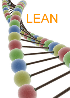 Lean Enterprises Blog
