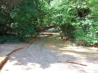 Palms of His Hands: Red Bluff