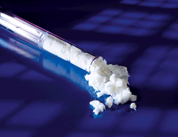 Medical Hemostat: Powder Hemostatic Medical Devices Segment