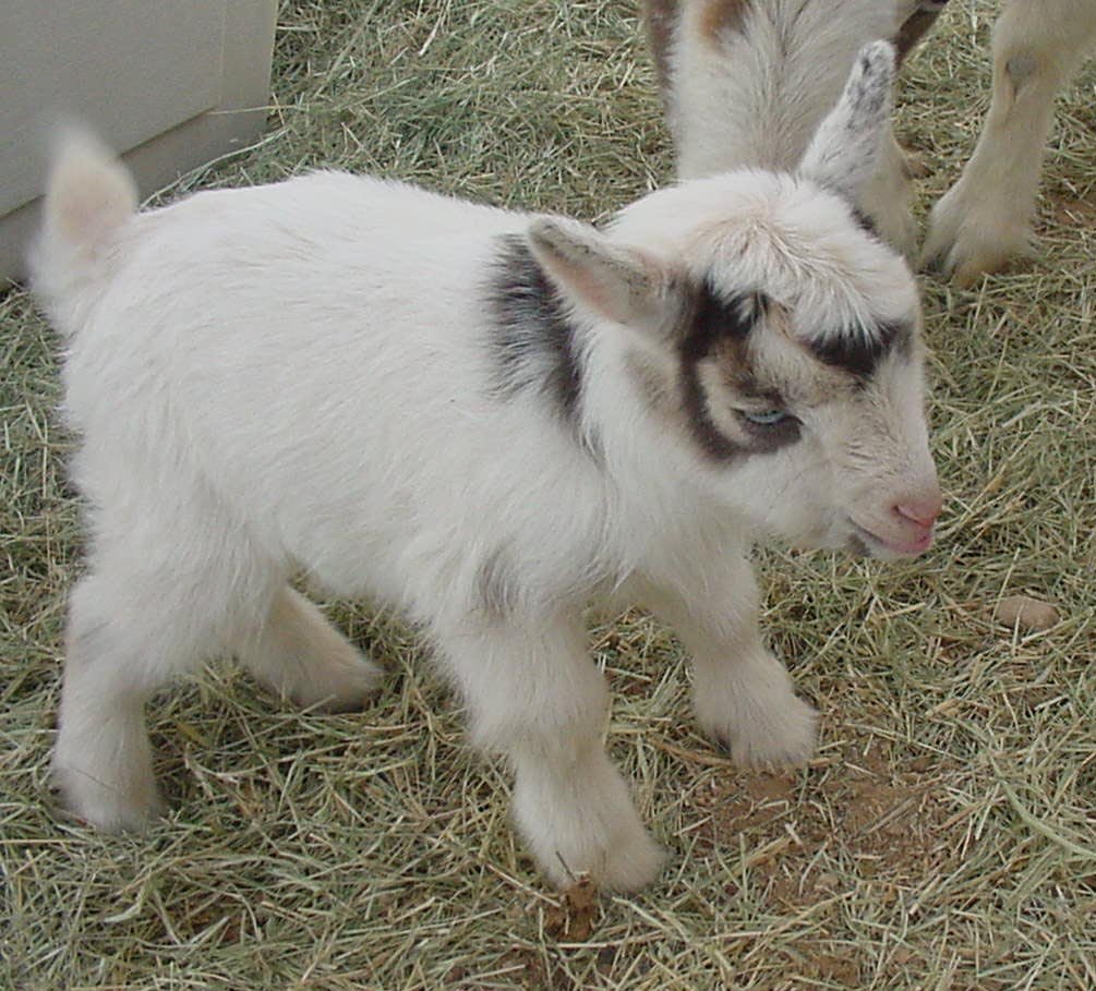 Stories of deception and misery