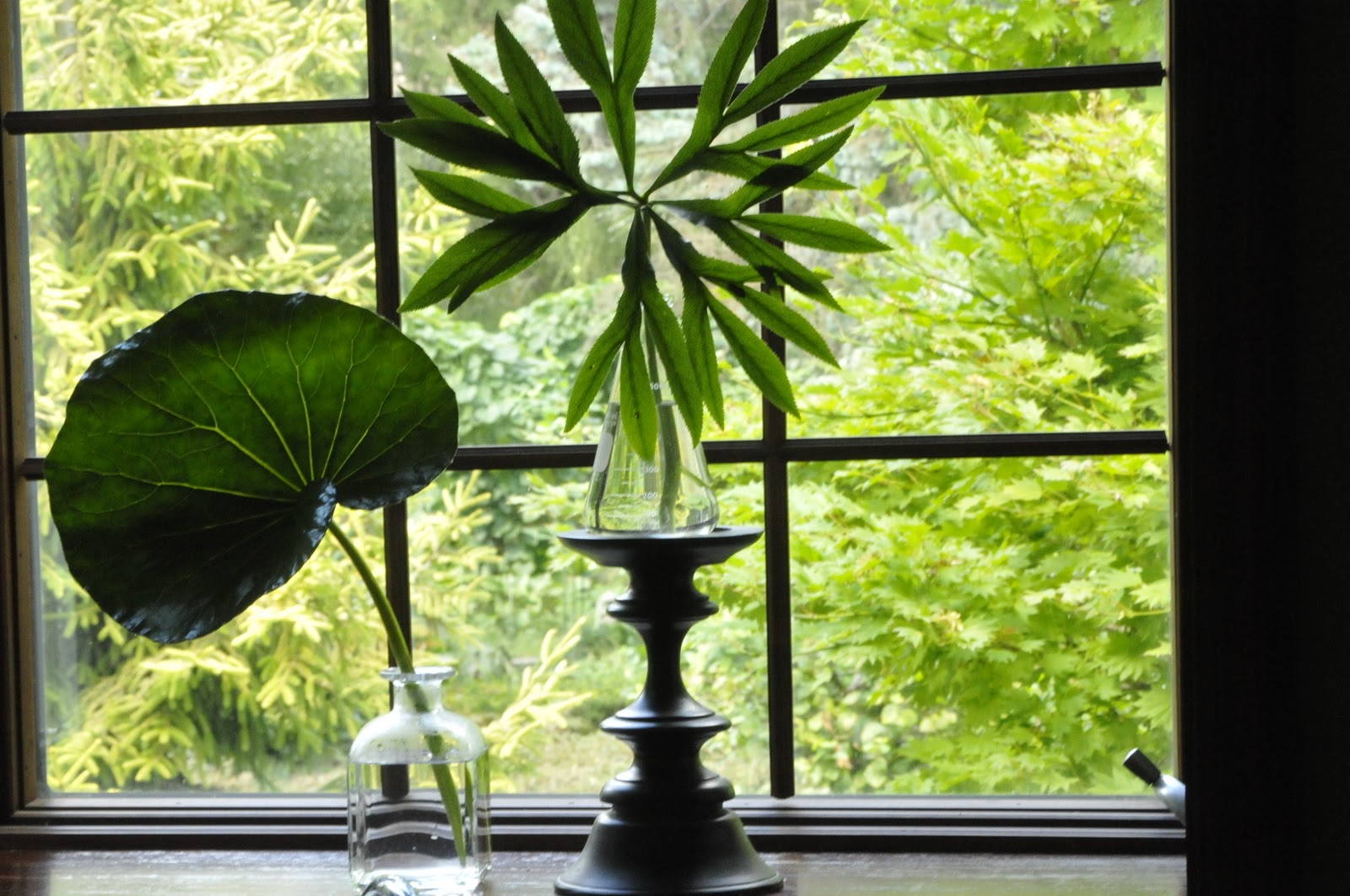 paradis express: Matt Mattus