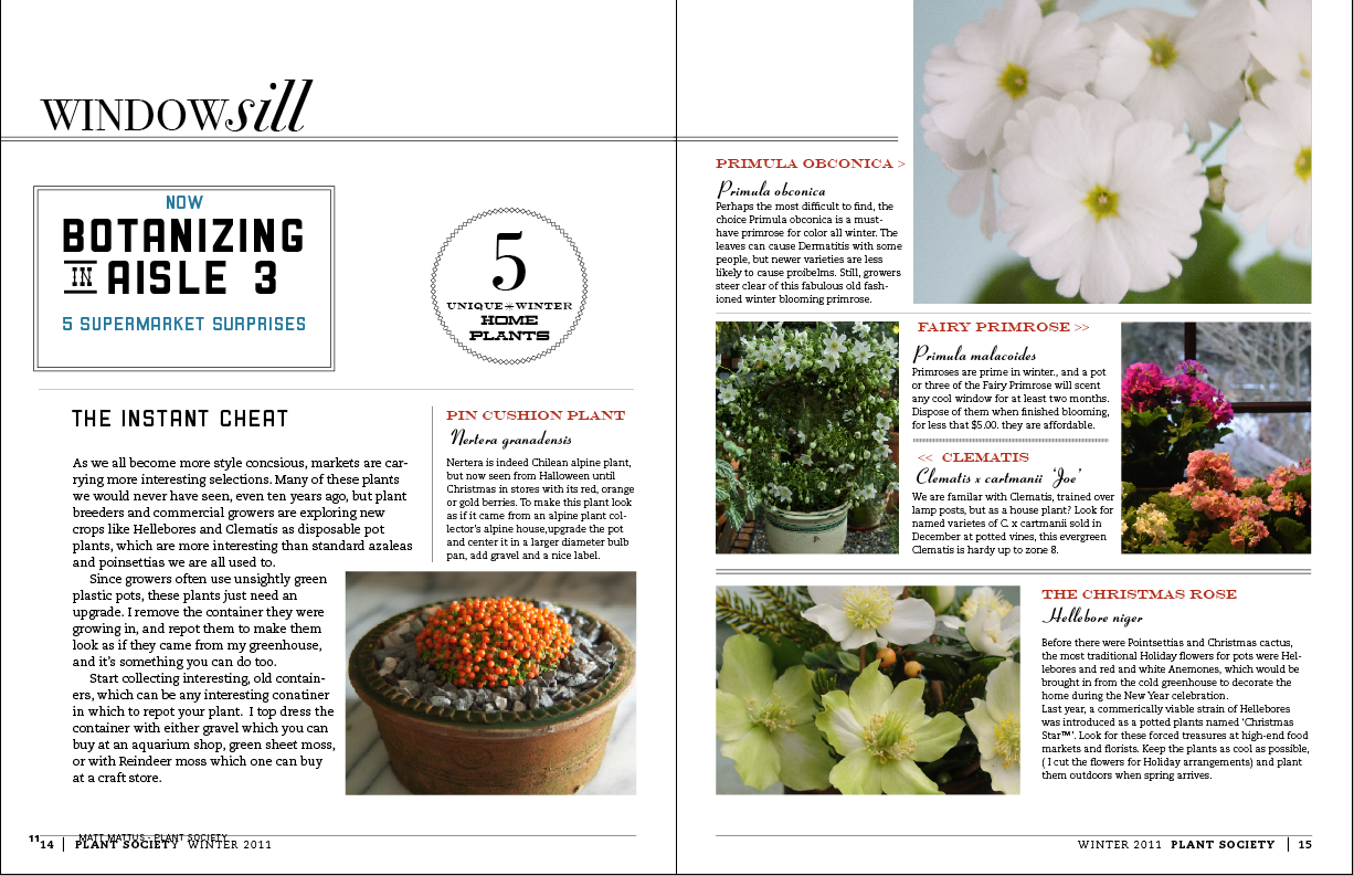 paradis express: Matt Mattus