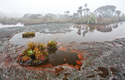 paradis express: Up by PIXAR / Là-haut des Studios Pixar