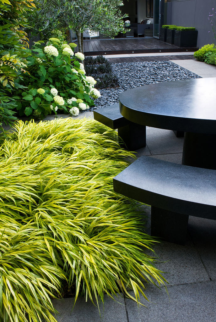 paradis express: Charlotte Rowe