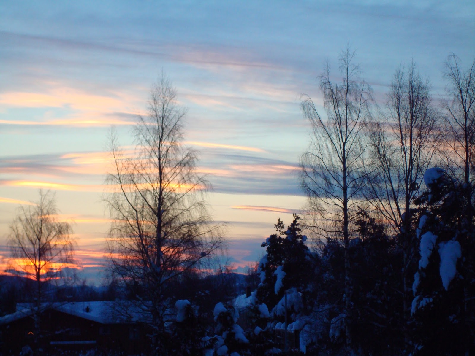Rådyrveien14: Iskald vintersol