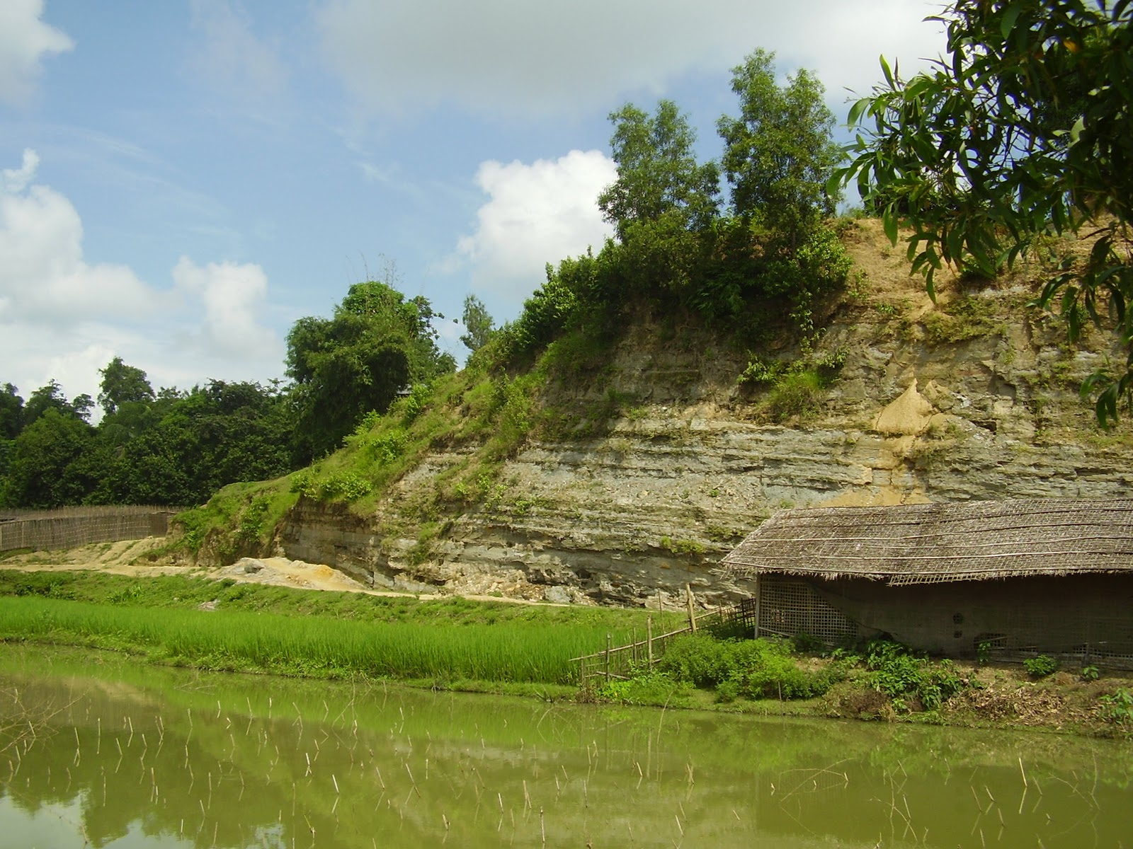 Natural beauty of Bangladesh: village of bangladesh