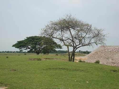 Natural beauty of Bangladesh: natural beauty of district netrokona