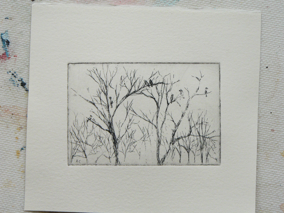 art studio atelier28: how an etching is made (hoe een ets gemaakt wordt)