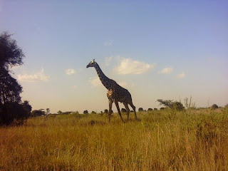 Patxigune. Ikasbidea.: PAISAIA NATURALAK 3