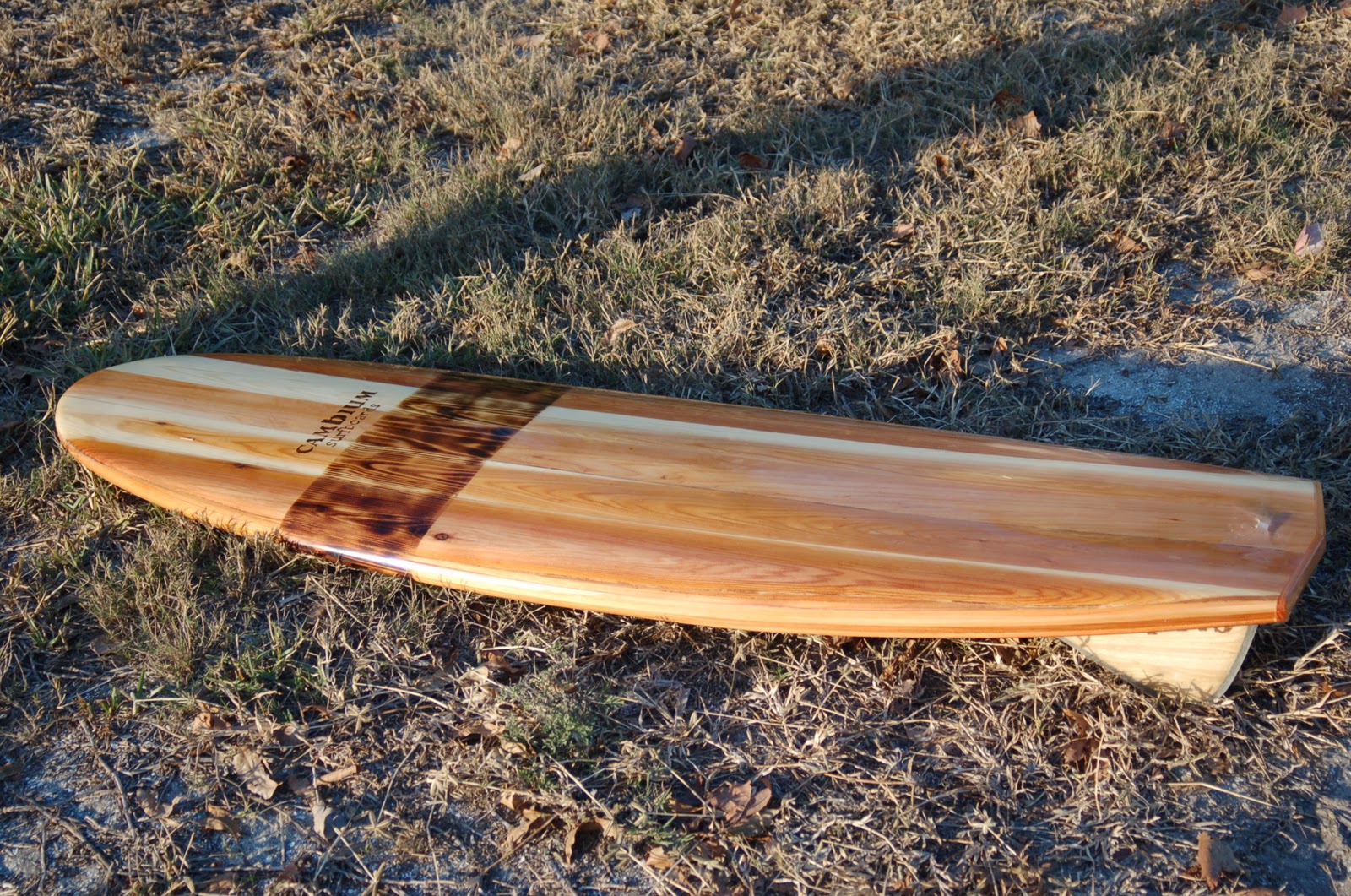 Cambium: 5'5" Mini Simmons