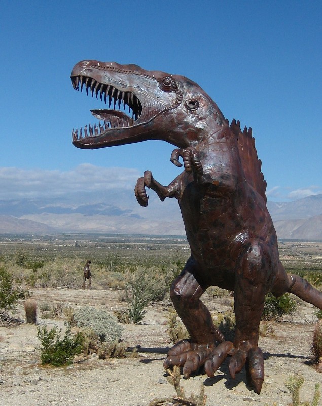 The Road Less Traveled: Desert Creatures