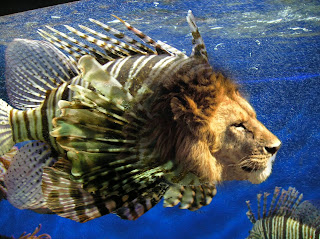 John Bapst digital media: Lion-Fish & Fish-Lion