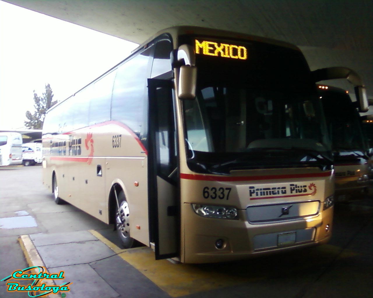o.OCentral BusologaO.o°•: Primera Plus