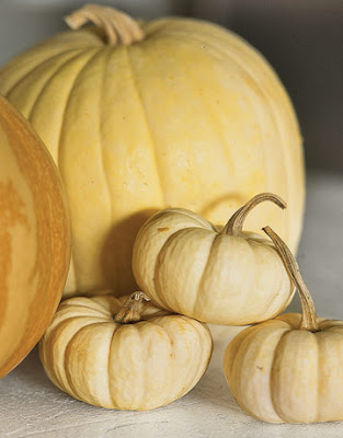 My little cottage in the making: THE MANY COLORS OF PUMPKINS