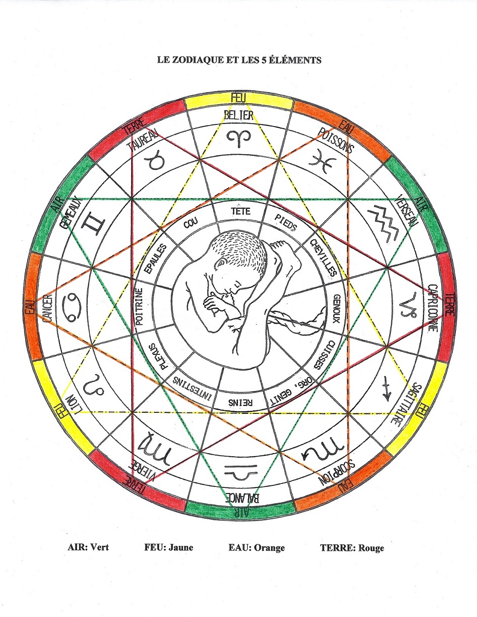 LE CORPS SAIT !: Le déterminisme énergétique