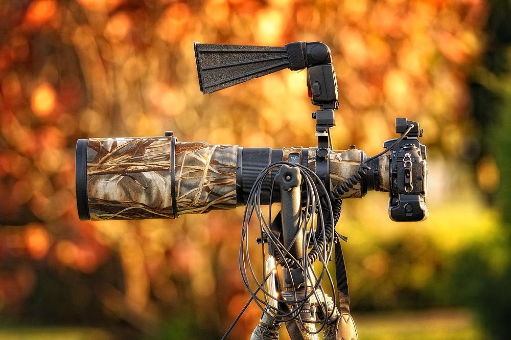 Bird Photography With Flash