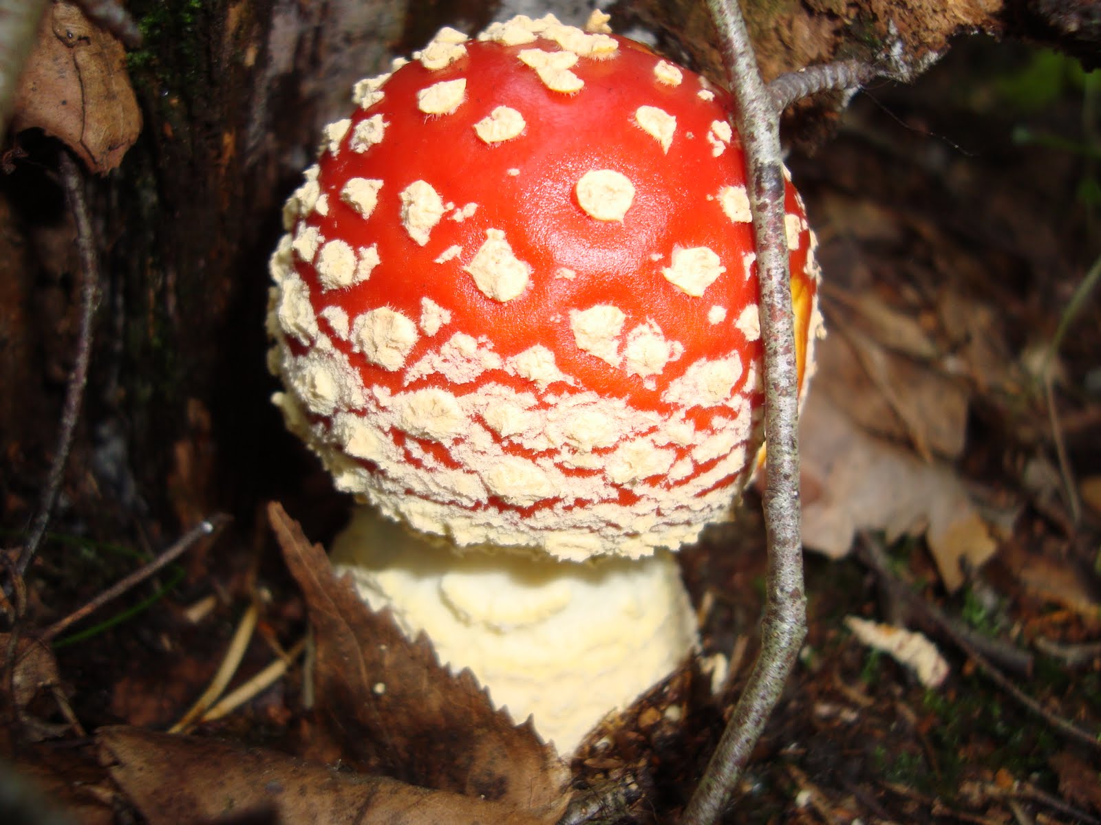 Soolembese rännakud: Kunilepa rännak 05.09.2010