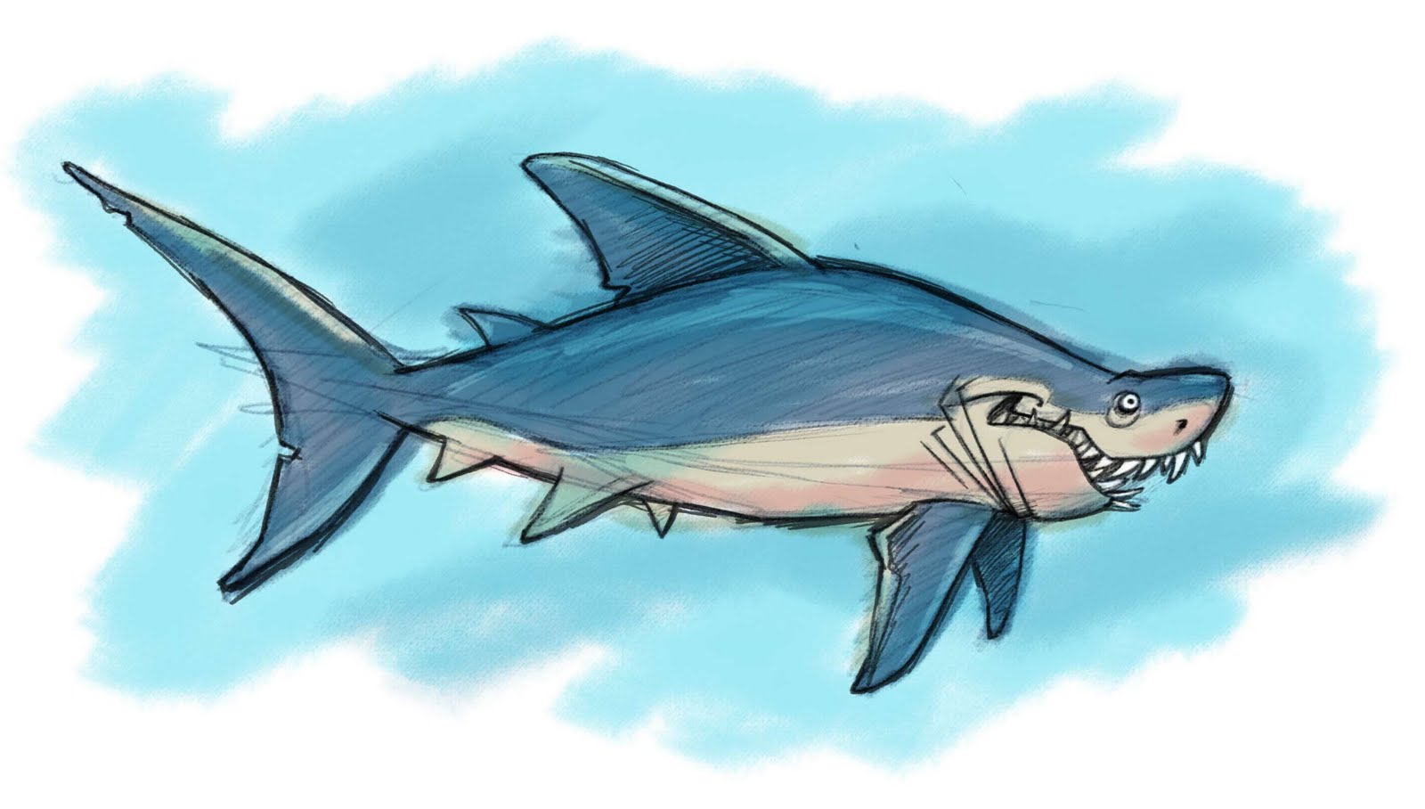 Allison Craig's Blog: Shark Week begins!!