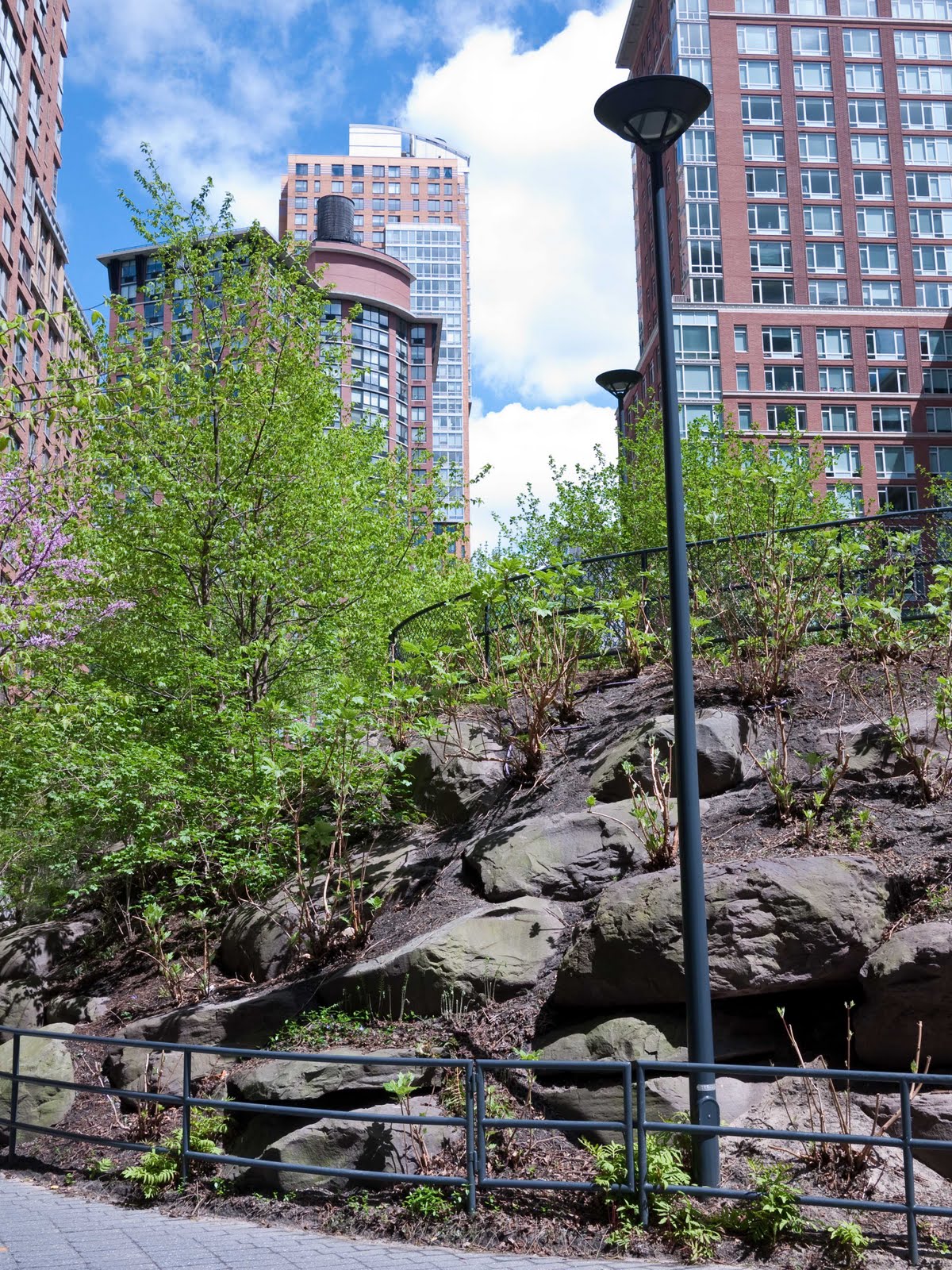 Third Nature: Teardrop Park