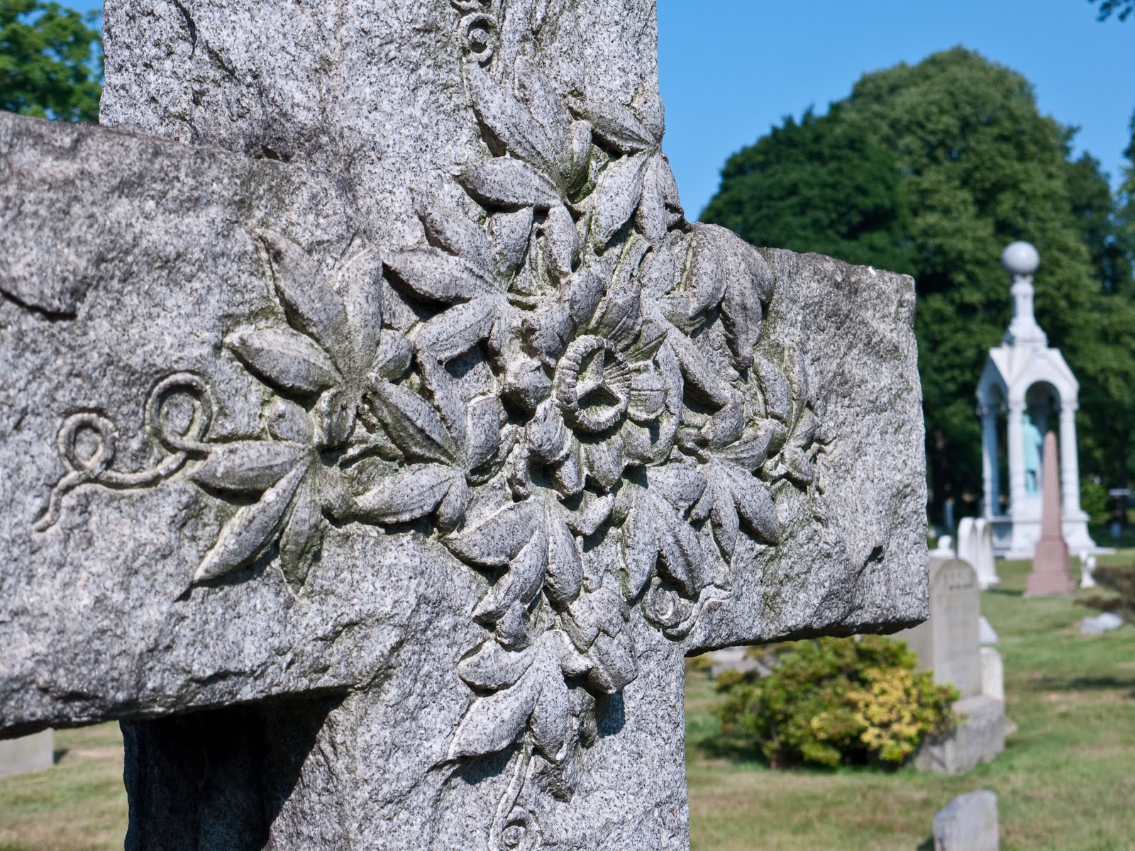 Green-Wood Cemetery Trees: passion flower