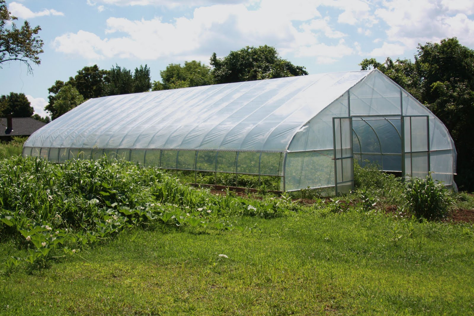 Red Clover Farms: Cold Frame