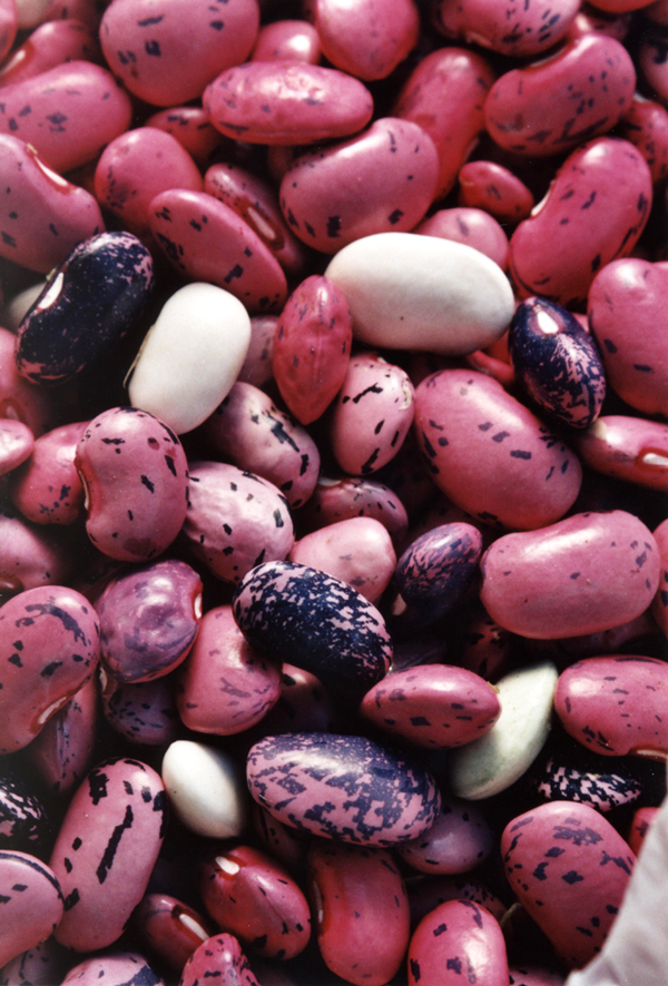 Crack and the Beanstalk