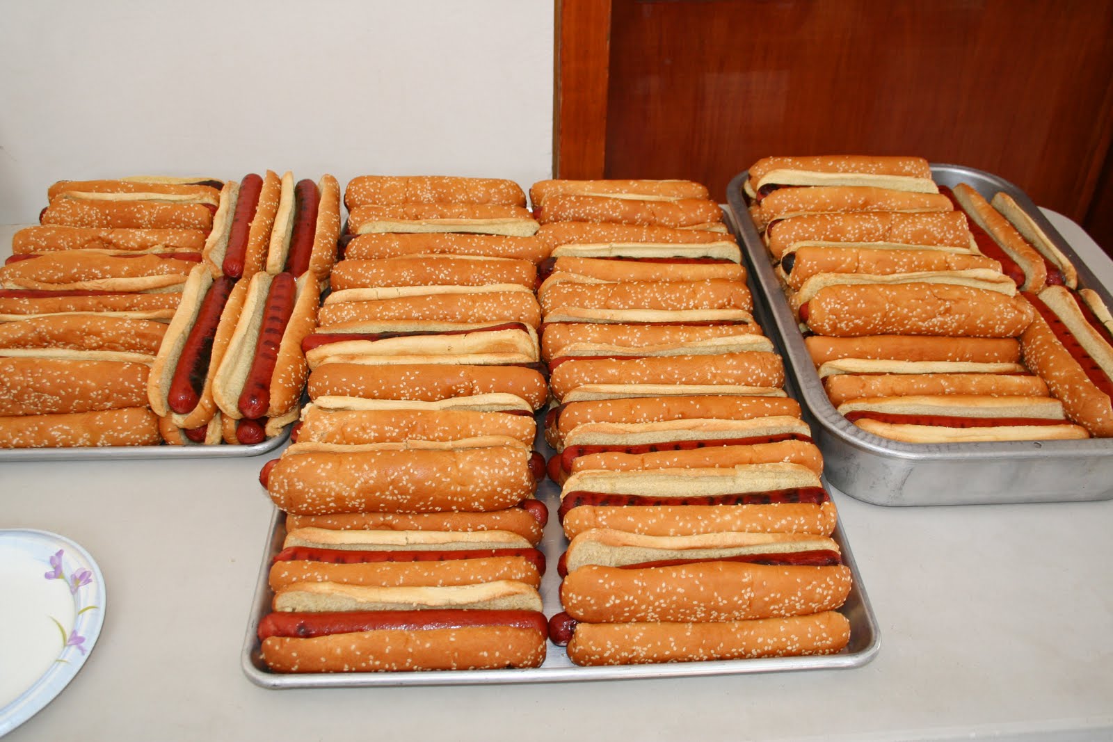 1000 Days in Veracruz