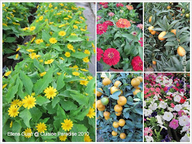 Cuisine Paradise | Singapore Food Blog | Recipes, Reviews And Travel ...