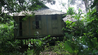 ReMiNiScEnCe....as the garden of memory grows arid...: PESAGI REVISITED ...