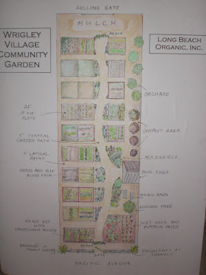 Long Beach Community Gardening, Organic Gardening