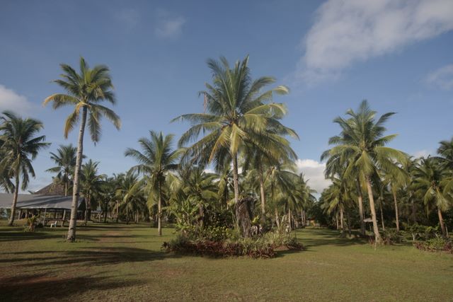 BEACHES AND CHURCHES: TADYAW BEACH RESORT & SPA, Brgy Tanghas, Tolosa ...