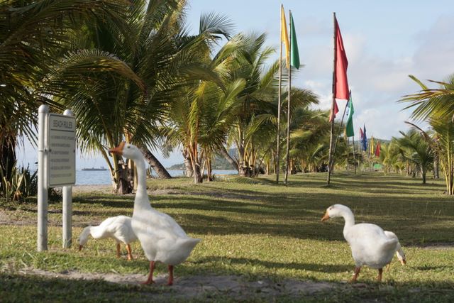 BEACHES AND CHURCHES: TADYAW BEACH RESORT & SPA, Brgy Tanghas, Tolosa ...