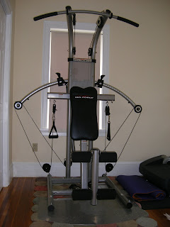 Moving Sale (Watertown, MA): $600 BIO FORCE 1.7 HOME GYM