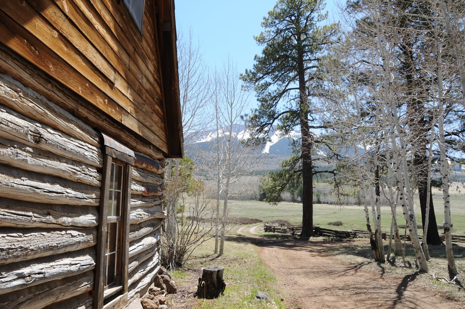 Arizona Hiking: HART PRAIRIE PRESERVE