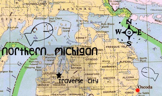 A Local's Guide to Survival in Northern Michigan: Where in the World is ...