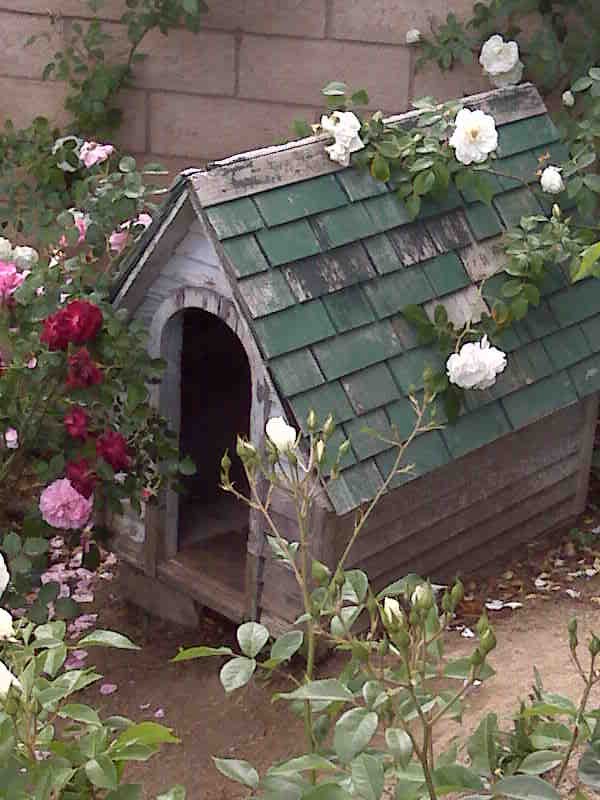 Tallulah's Antique Closet: ~Vintage White Doghouse~