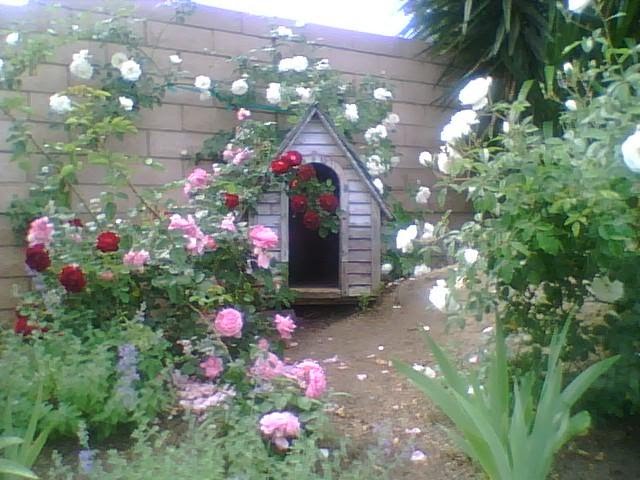 Tallulah's Antique Closet: ~Vintage White Doghouse~