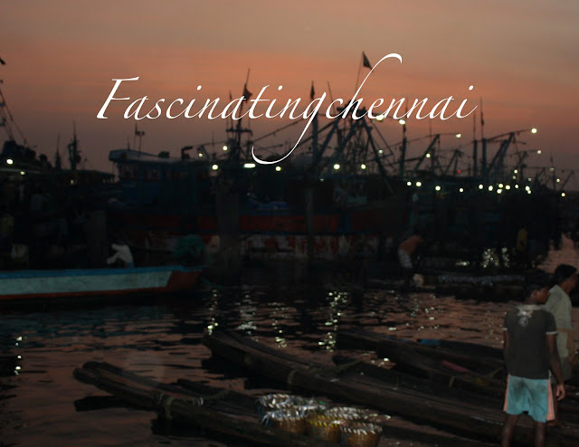Fascinating Chennai: Royapuram Fishing Harbour