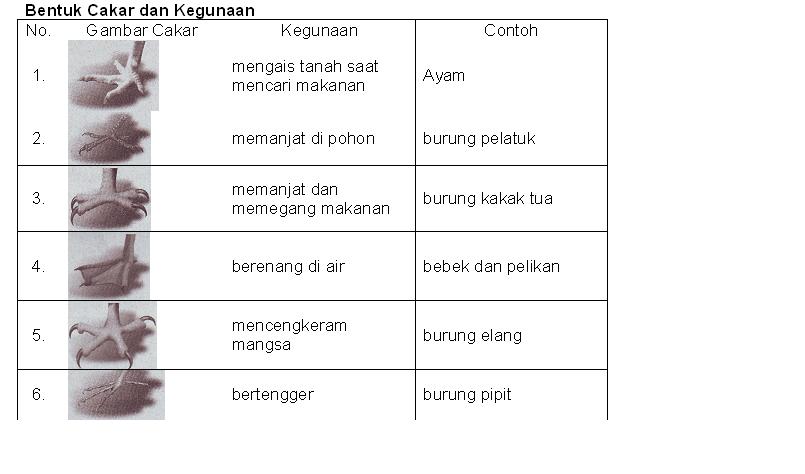 ichsan dwi matra