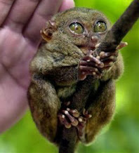 LIFE IN THESE UNITED STATES: History of my Taino ancestors