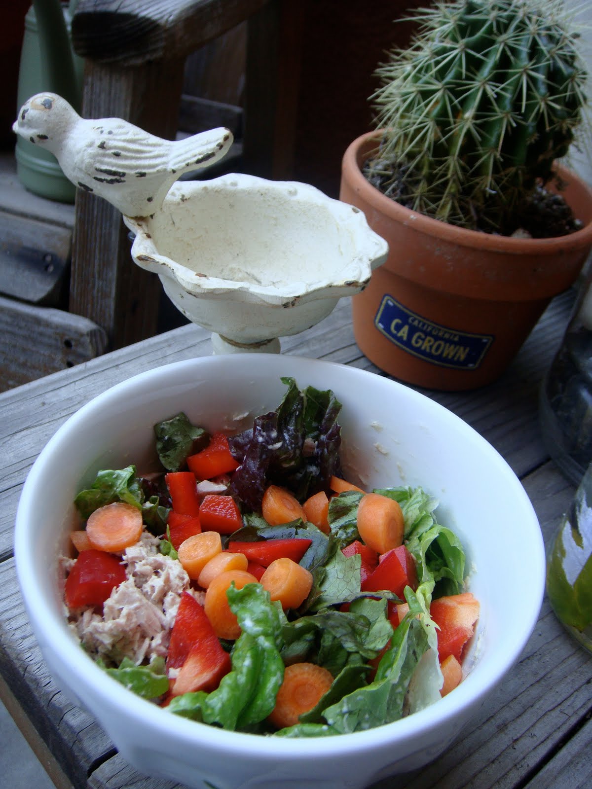 Fresh Fridays : A Colorful Salad | sealaura