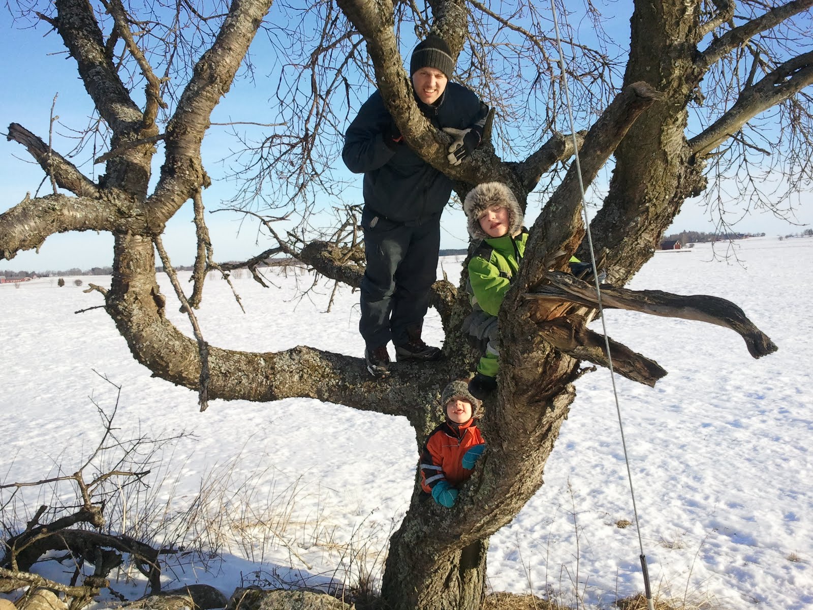 I hjärtat hos Hedlunds: Lite vinterbilder