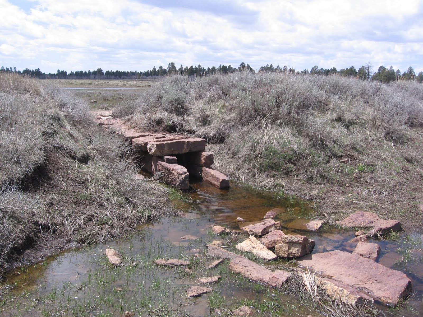 Four Corners Hikes-Dolores River Valley Colorado: Glade Lake Trail