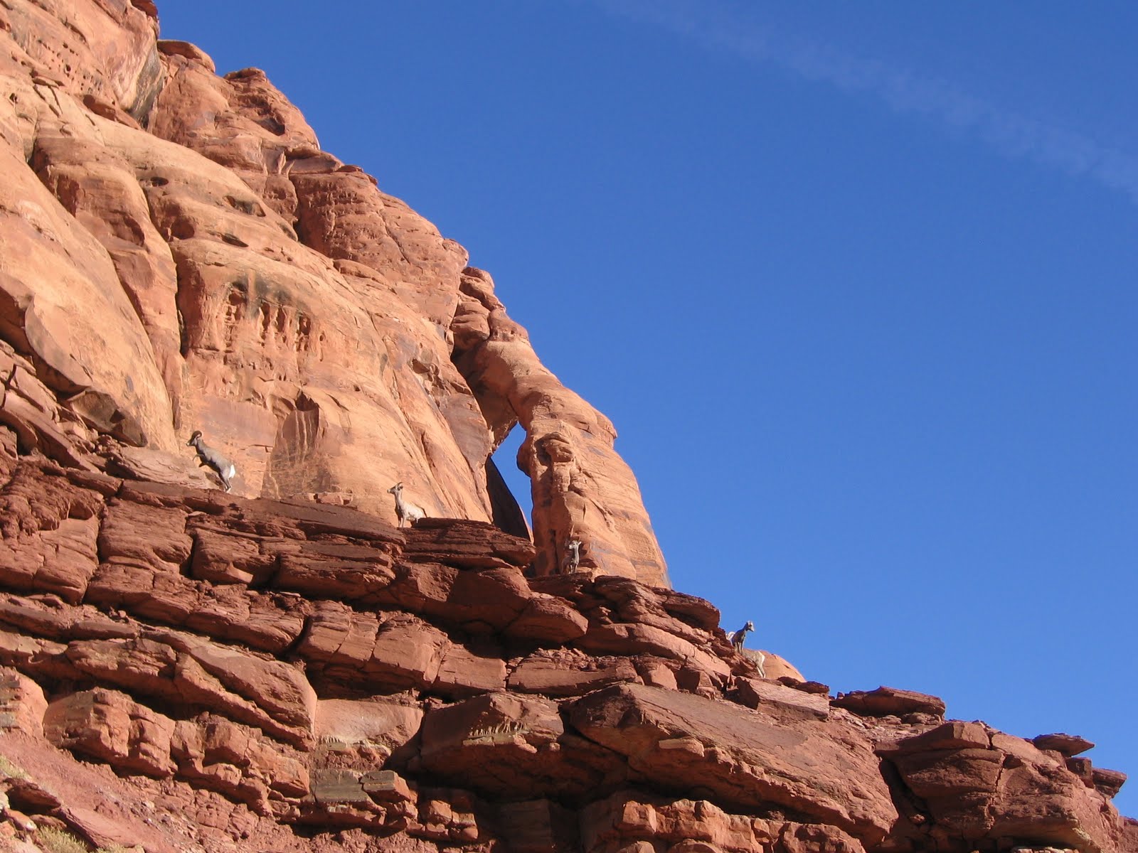 Four Corners Hikes-Arches National Park: Jug Handle Arch and Desert Big ...
