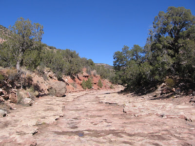 Four Corners Hikes-Canyons of the Ancients: Rock Creek Trail (West)
