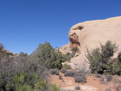 Four Corners Hikes-Cedar Mesa in Utah: Top of Comb Ridge Trail ...